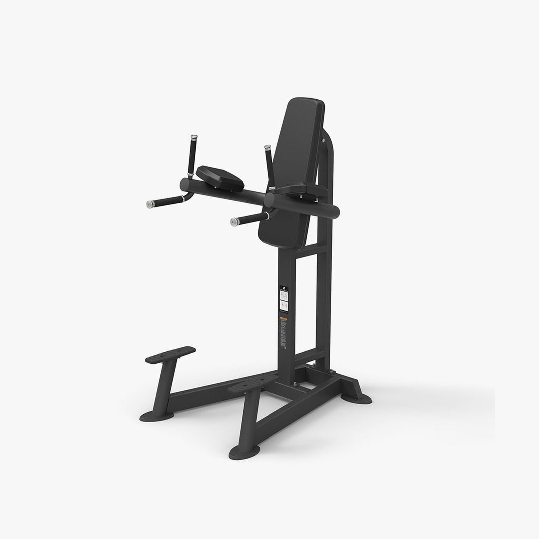 Spirit Fitness 4215 Leg Raise / Dip